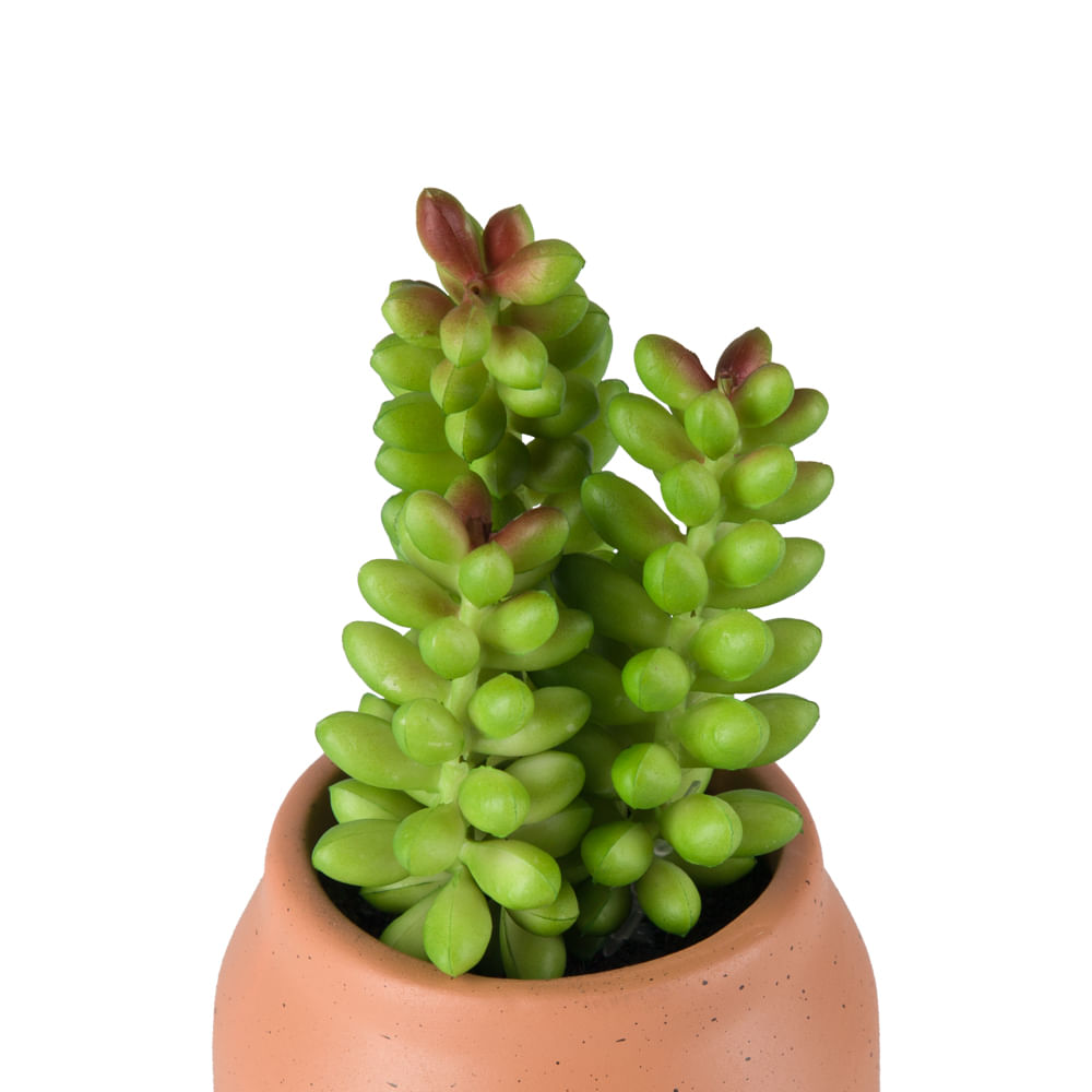 Maceta de terracota| Casaideas - Casaideas Colombia