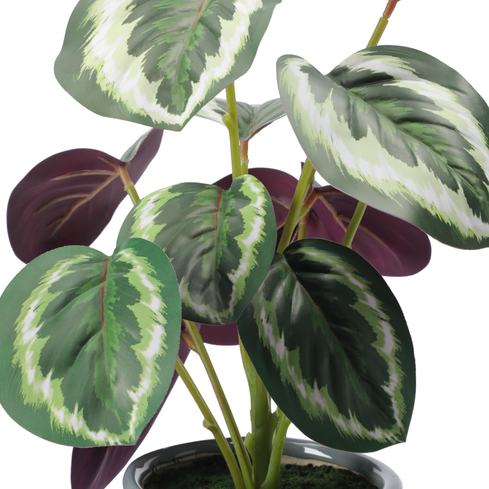 Maceta Planta Cerámica - Casaideas Colombia